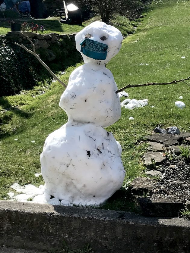 Masked snowman a sign of the times | News, Sports, Jobs - The Express
